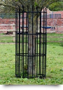 Metal Estate Tree Guards | Metal Tree Guards And Fencing